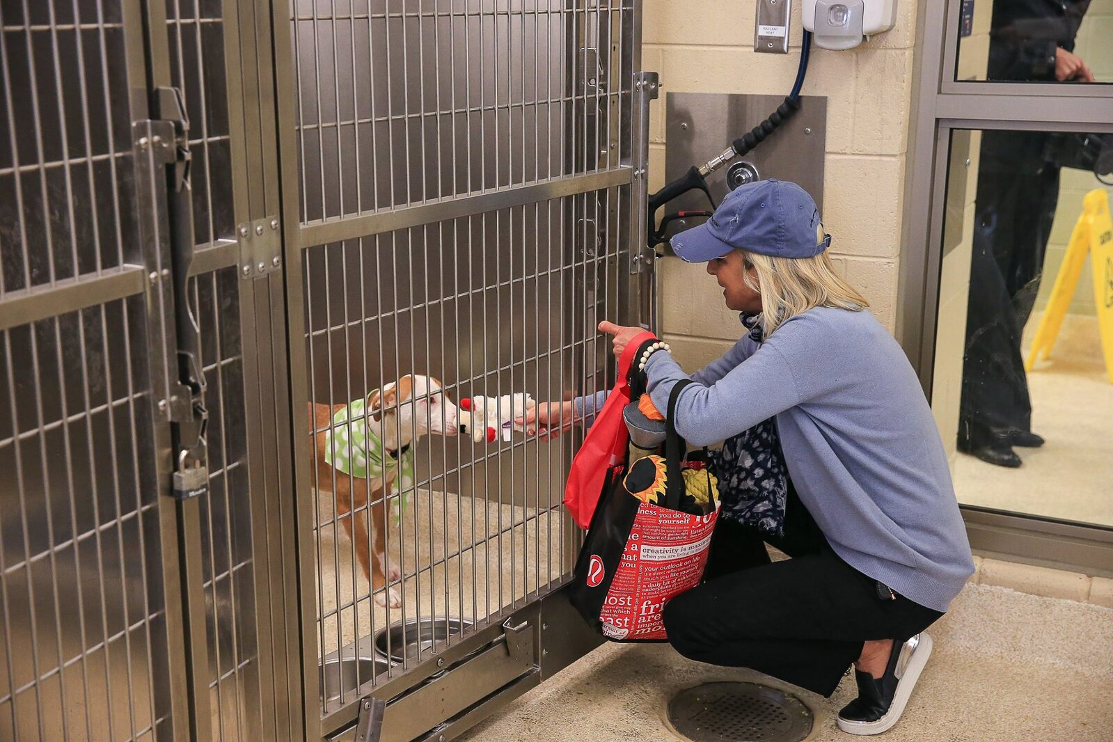 9 Reasons to Adopt at EMPTY THE SHELTERS in Northern California ...
