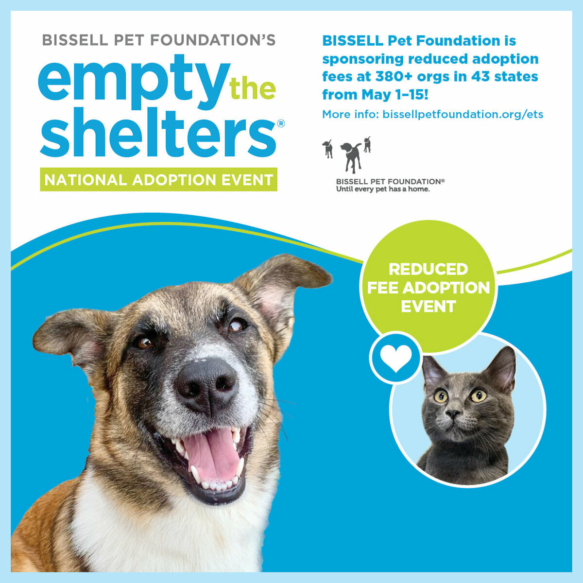 The Dish - BISSELL Pet Foundation